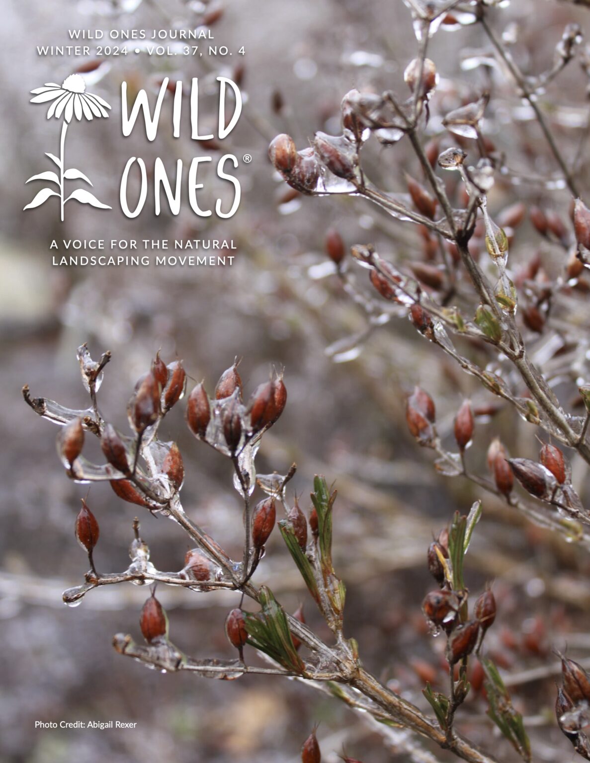 Wild Ones: Native Plants, Natural Landscapes