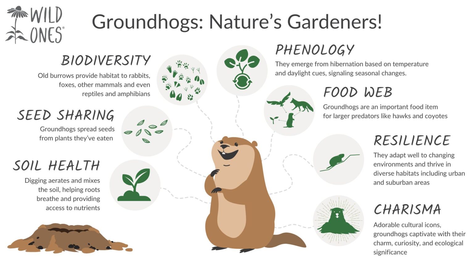 What Groundhogs Know About Seasonal Gardening That You Don’t - Wild ...