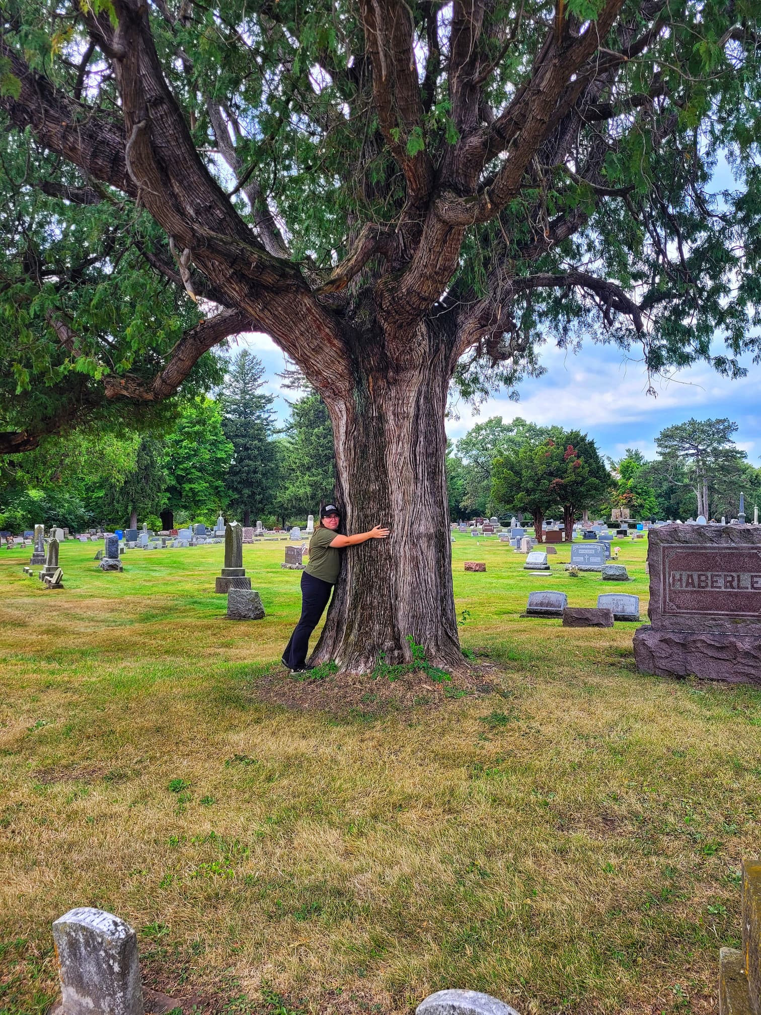 Champion Trees: A Celebration of Giants - Wild Ones: Native Plants ...