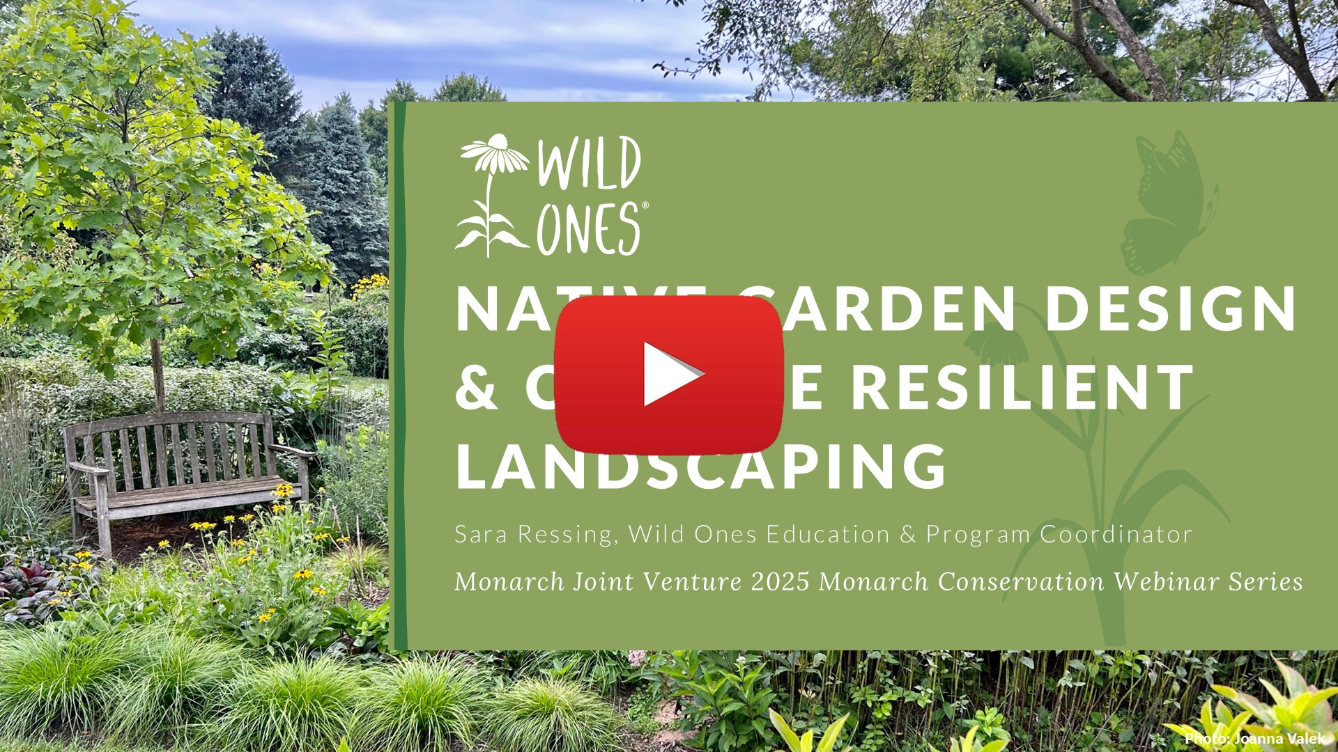 Native Plant Month - Wild Ones: Native Plants, Natural Landscapes