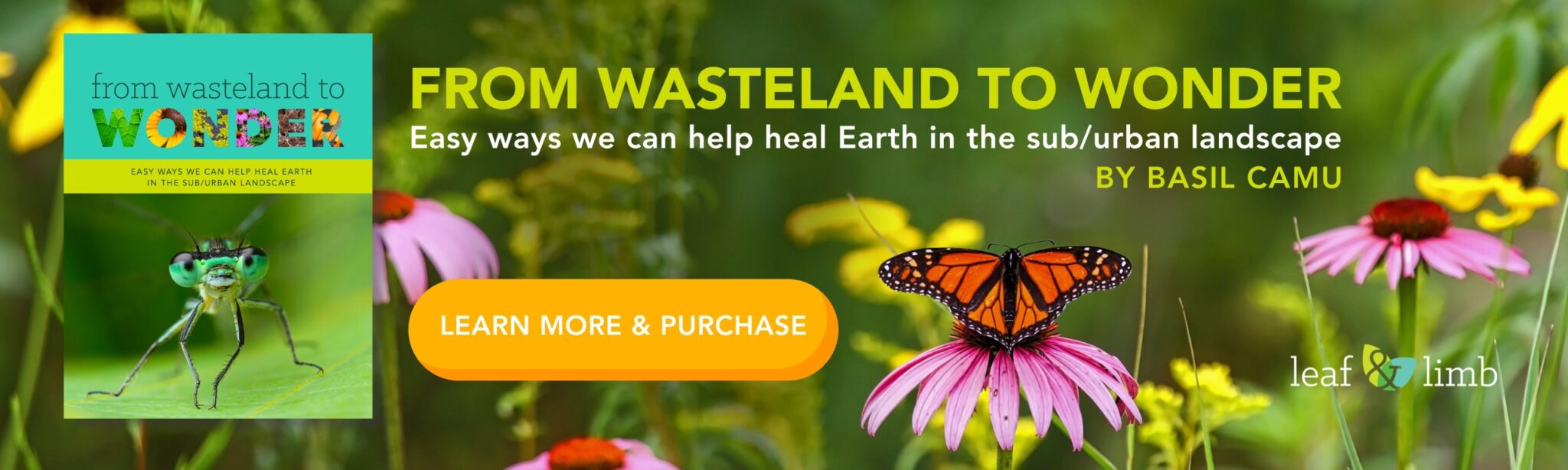 Keystone Trees - Wild Ones: Native Plants, Natural Landscapes