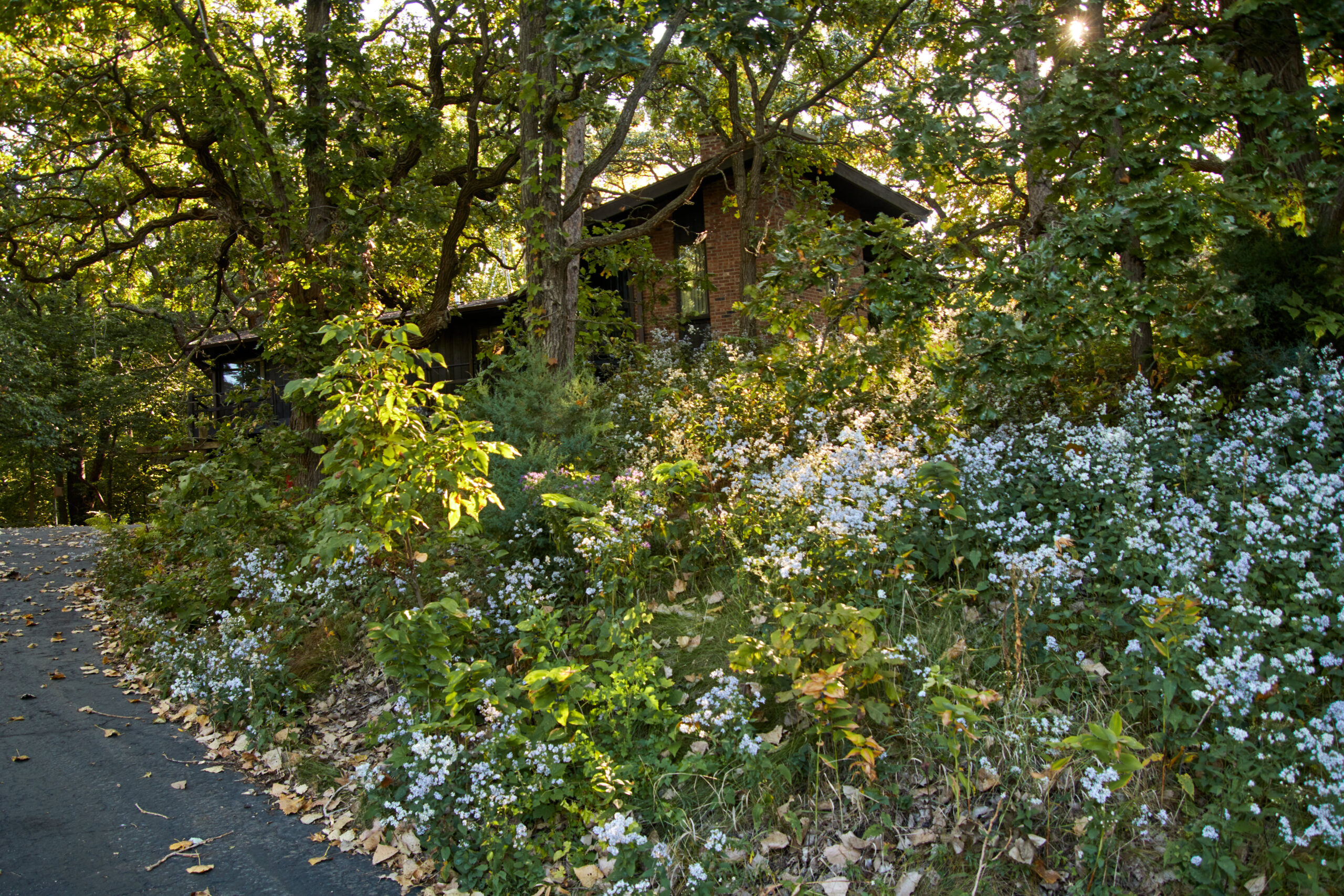 Certified Native Habitat Program - Wild Ones: Native Plants, Natural ...