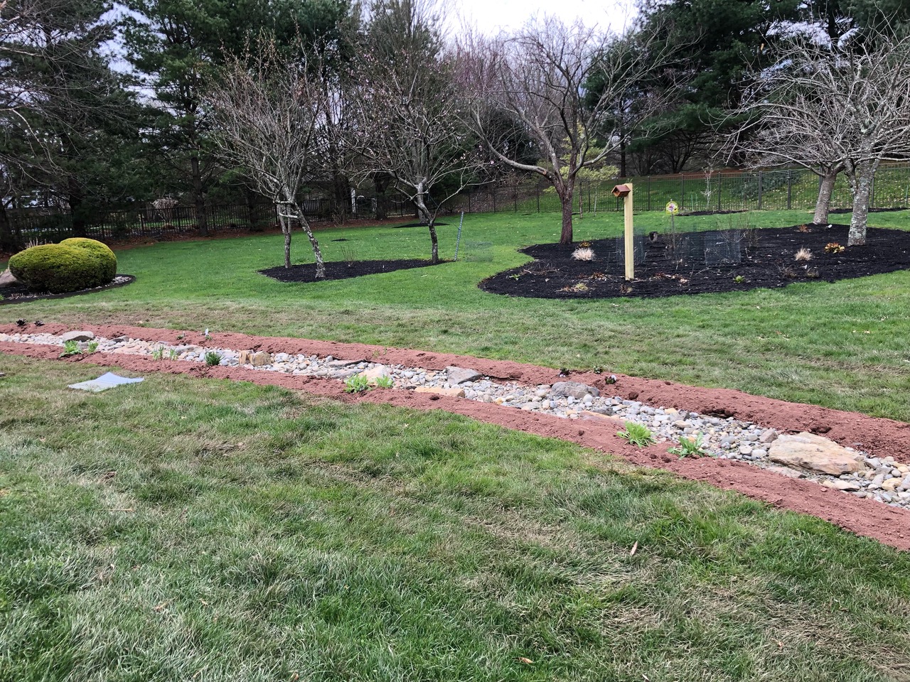 Member Garden: Denise Ranucci - Wild Ones: Native Plants, Natural ...