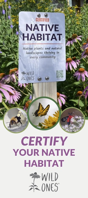 Order Brochures - Wild Ones: Native Plants, Natural Landscapes