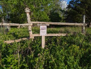 Certified Native Habitat Program - Wild Ones: Native Plants, Natural ...