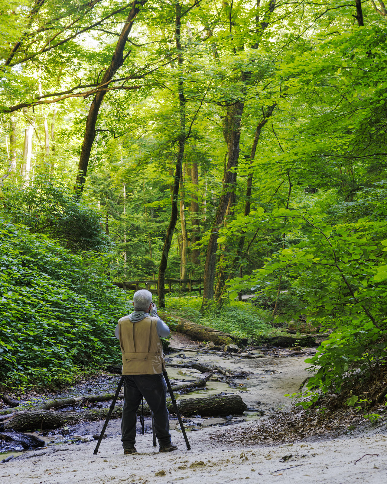 2024 Photo Contest Winners - Wild Ones: Native Plants, Natural Landscapes