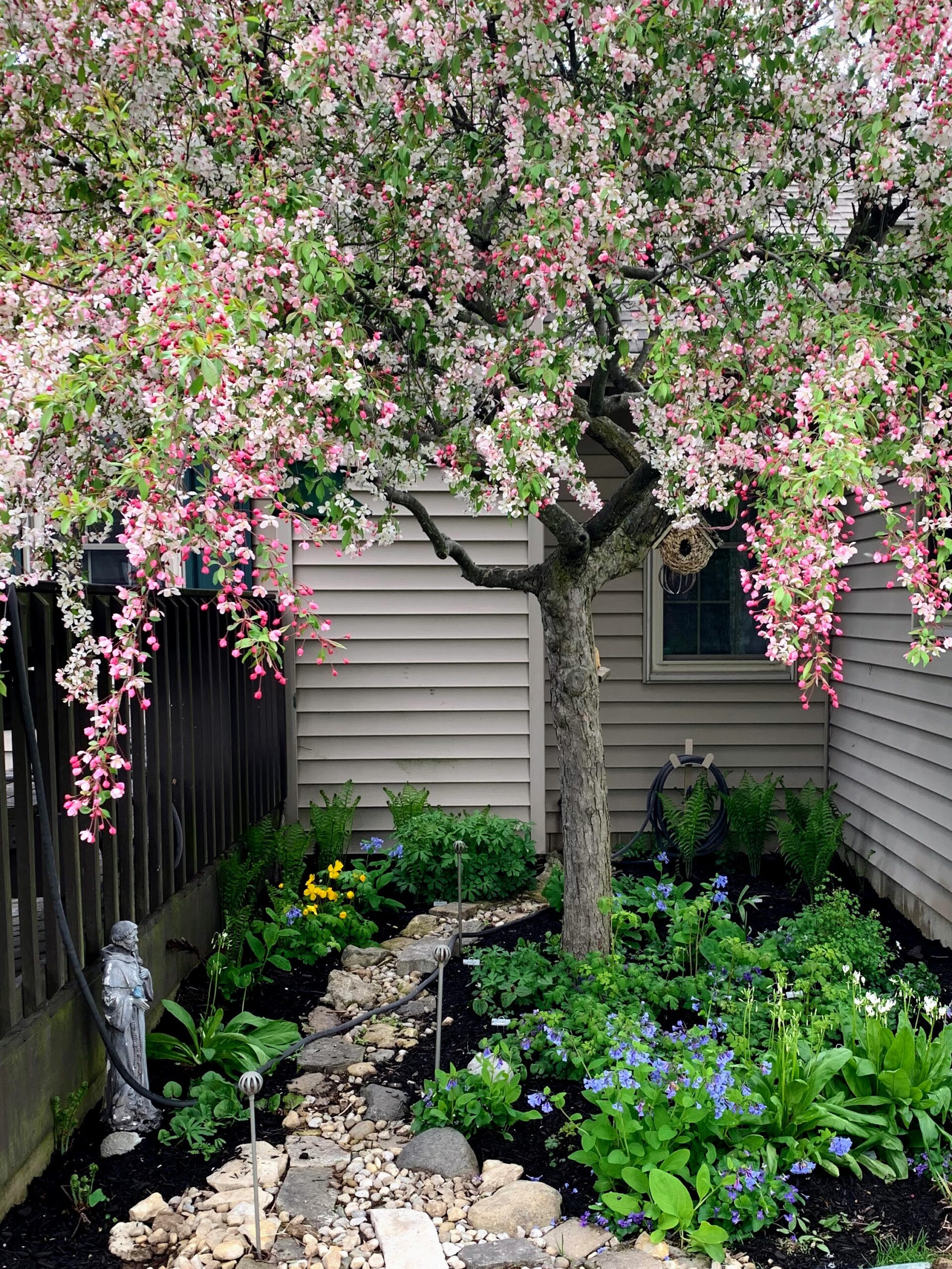 Member Garden: Courtney Denning and Kenneth Brunson - Wild Ones: Native ...