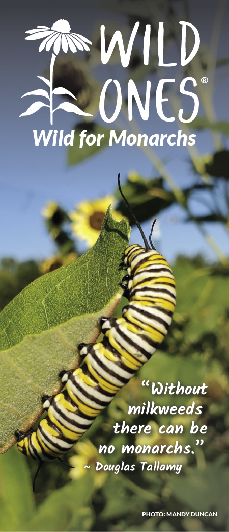 Order Brochures - Wild Ones: Native Plants, Natural Landscapes
