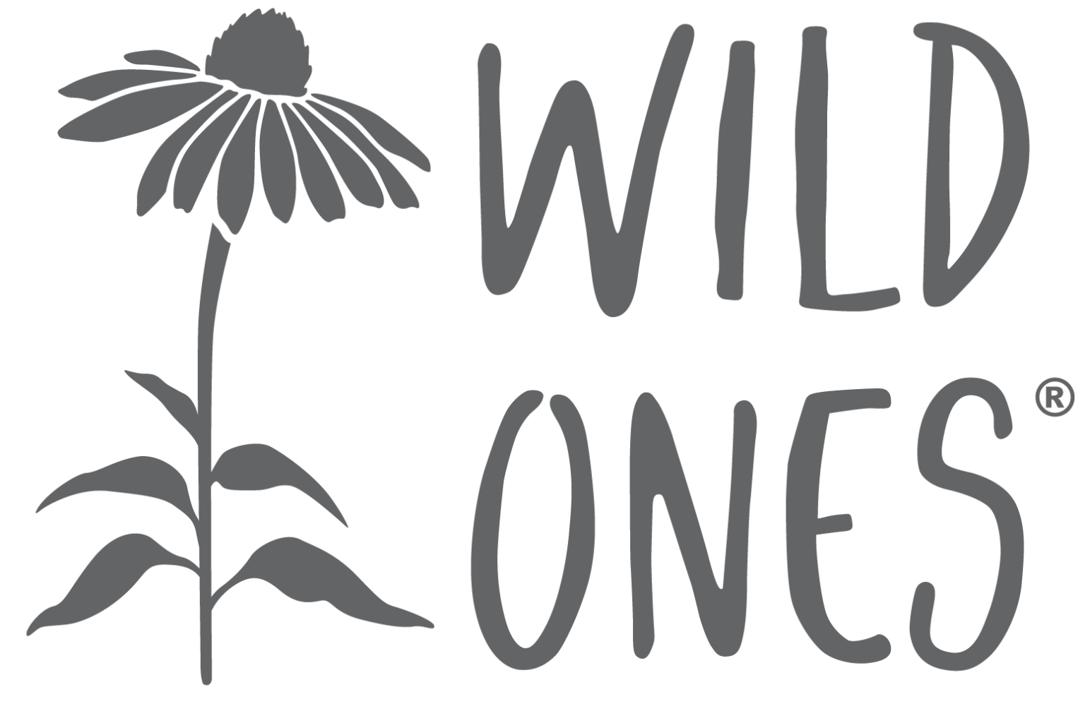 What Is Wild and Why It Matters: Free Webinar with Rick Darke on Native ...