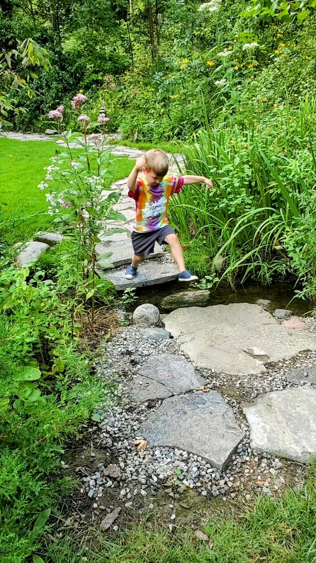 Member Garden: Lynn Kirkpatrick - Wild Ones: Native Plants, Natural ...