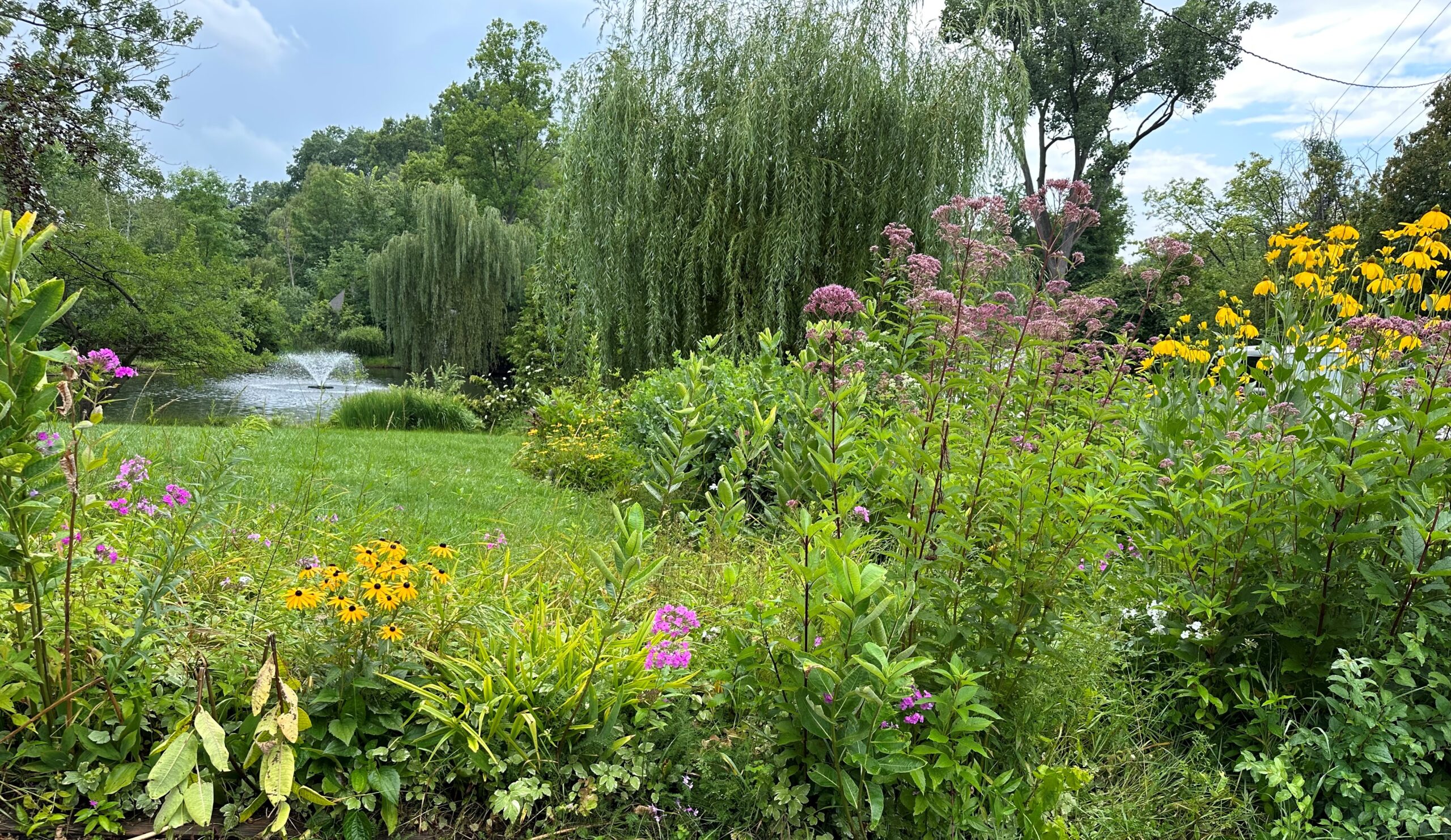 Photo Contest Details - Wild Ones: Native Plants, Natural Landscapes